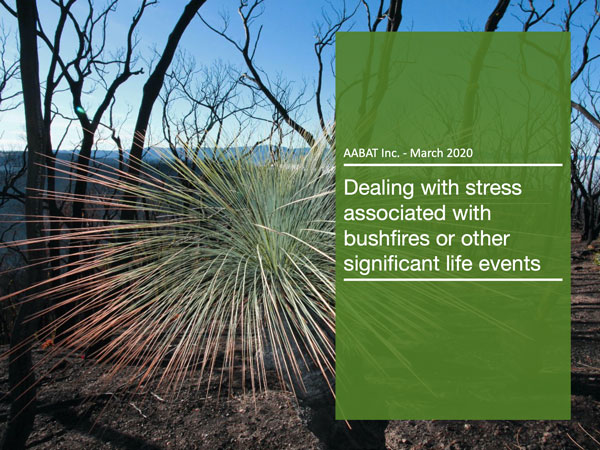 Bushfire Recovery Resources – Australian Association for Bush Adventure ...